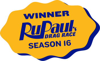 Raspberry Lychee Sparkling Drink – wildwonder